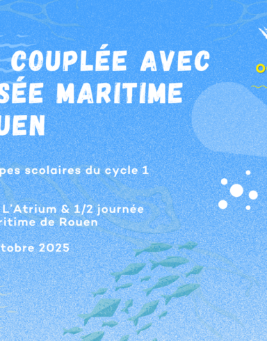 L'exposition OCÉAN, une plongée insolite en Normandie - L'Atrium Normandie